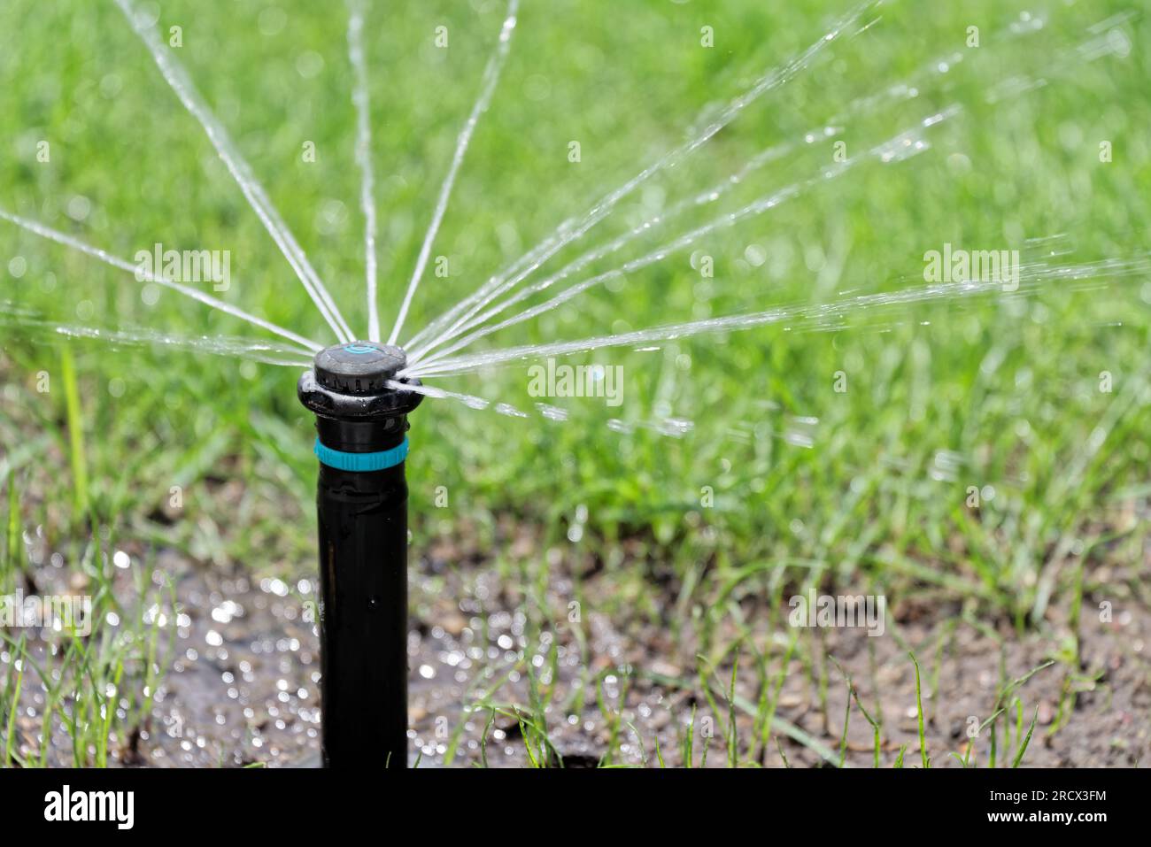 Pop up sprinkler hi-res stock photography and images - Alamy