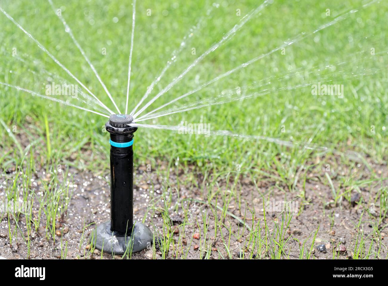 Water drops lawn sprinkler hi-res stock photography and images - Alamy