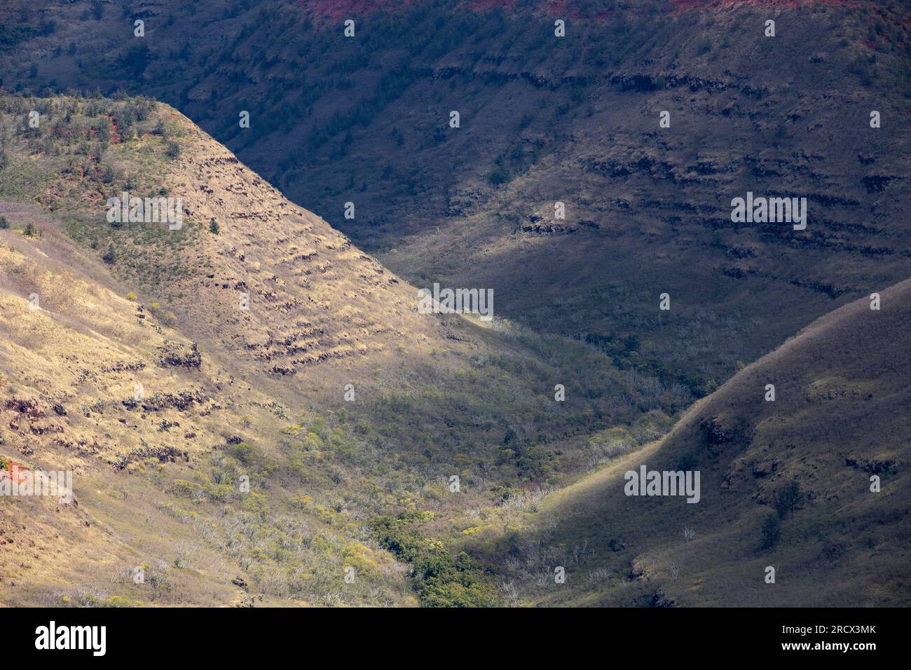 Deep valley entrance to Waimea Canyon, Kauai Stock Photo - Alamy
