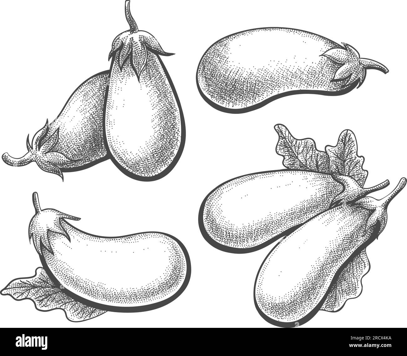 With eggplant Black and White Stock Photos & Images - Alamy