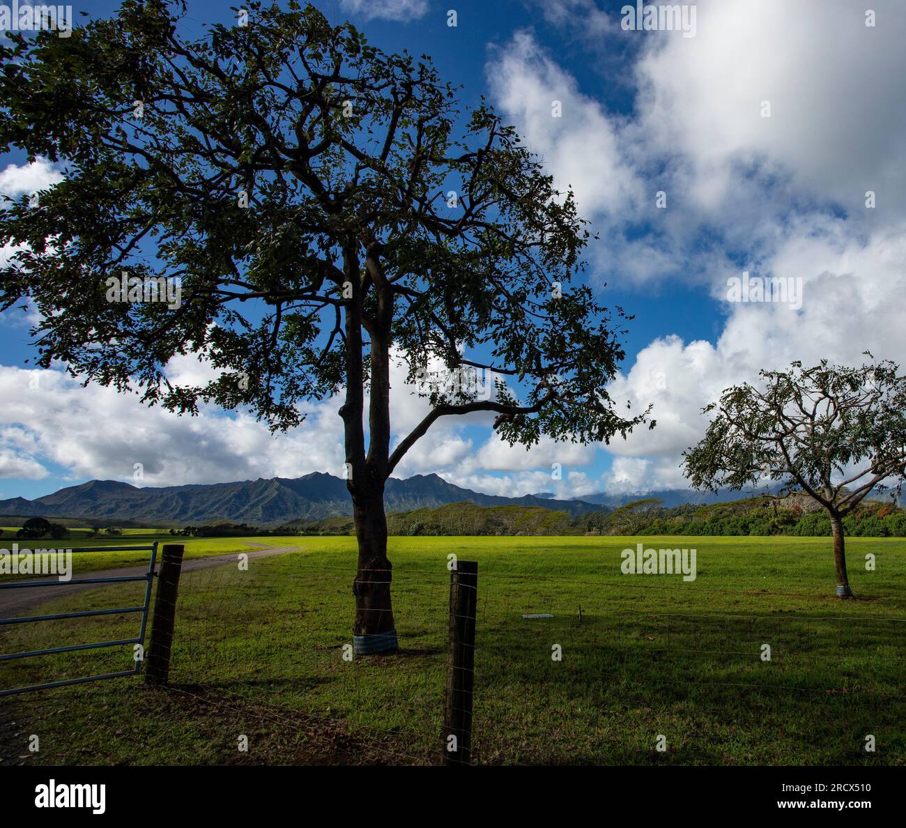 Ranch gates, farm fields and scenic tropical mountain backdrop , Kauai ...