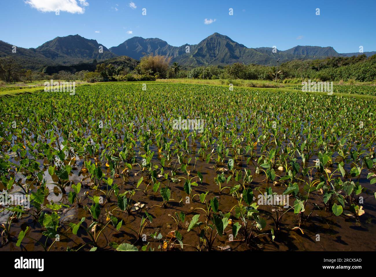 Hanalei mountains hi-res stock photography and images - Alamy