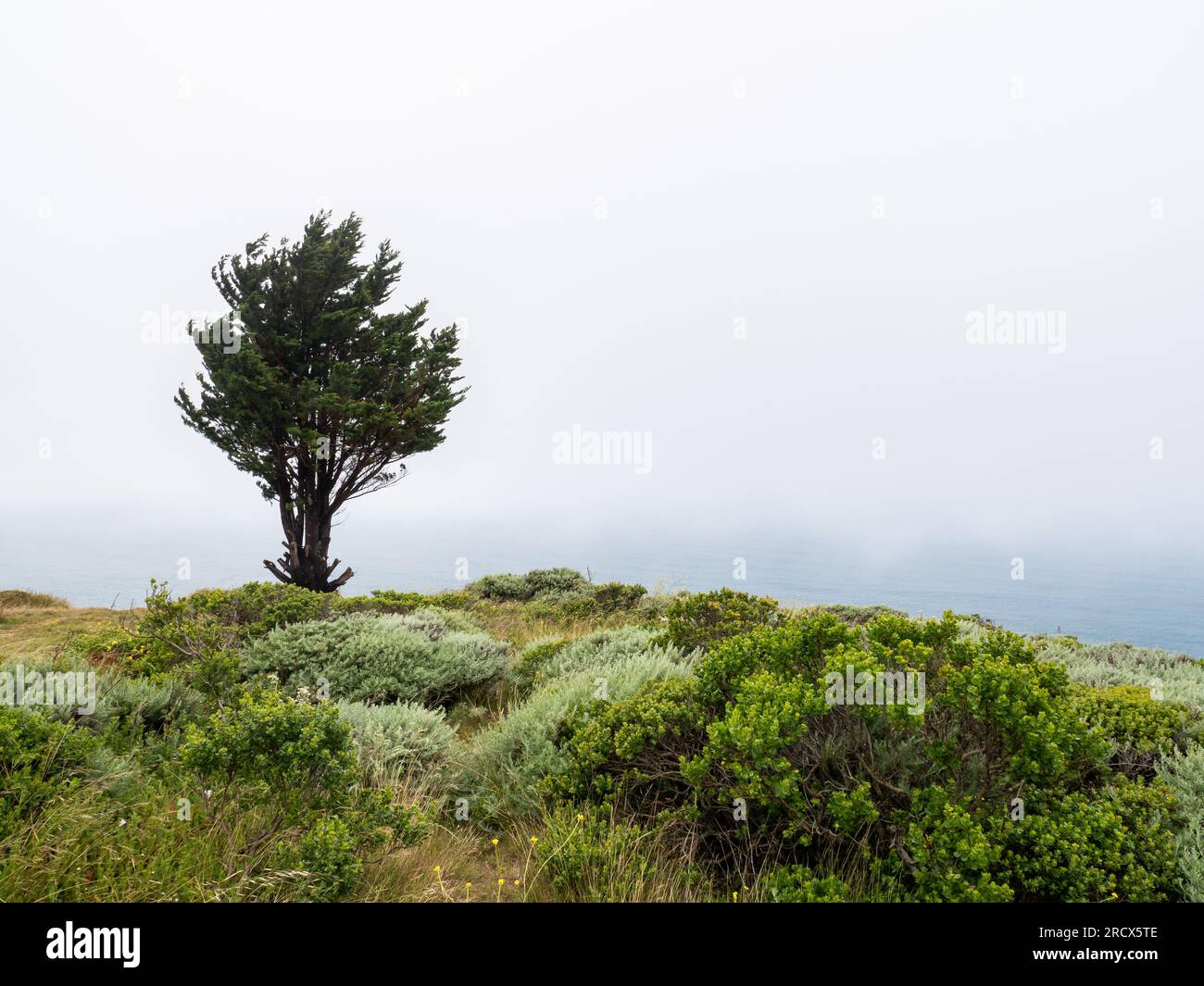 Ocean lone hi-res stock photography and images - Alamy