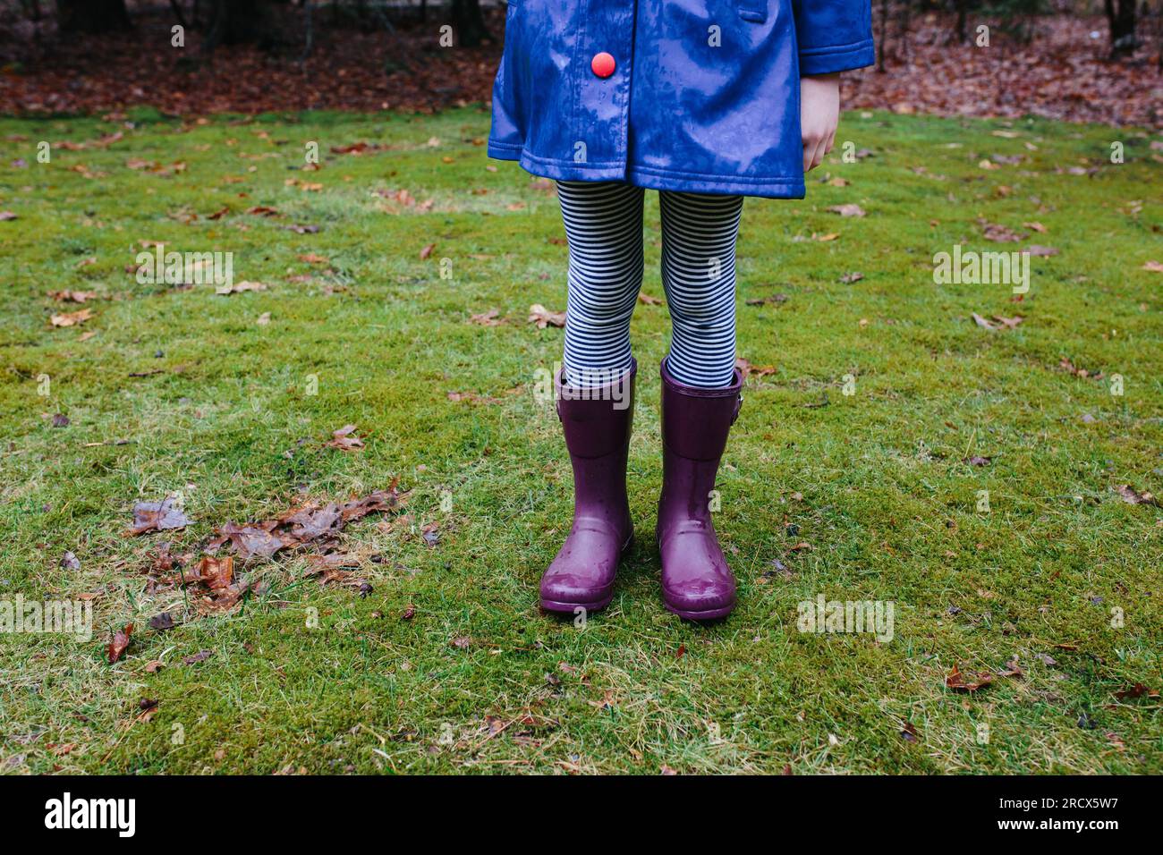 Young child wearing purple rain boots in a wet, mossy forest Stock ...