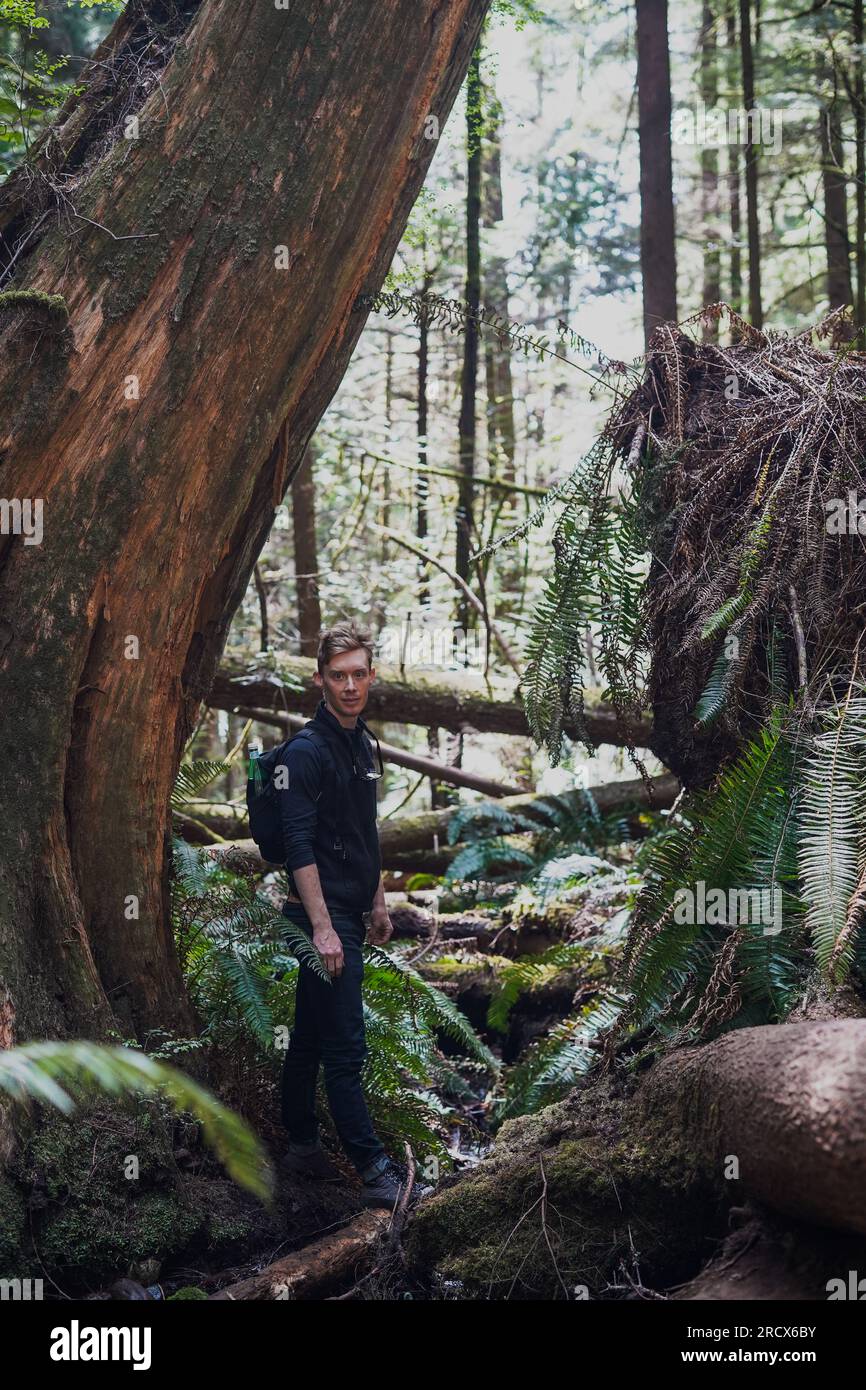 Man on the forest hi-res stock photography and images - Alamy