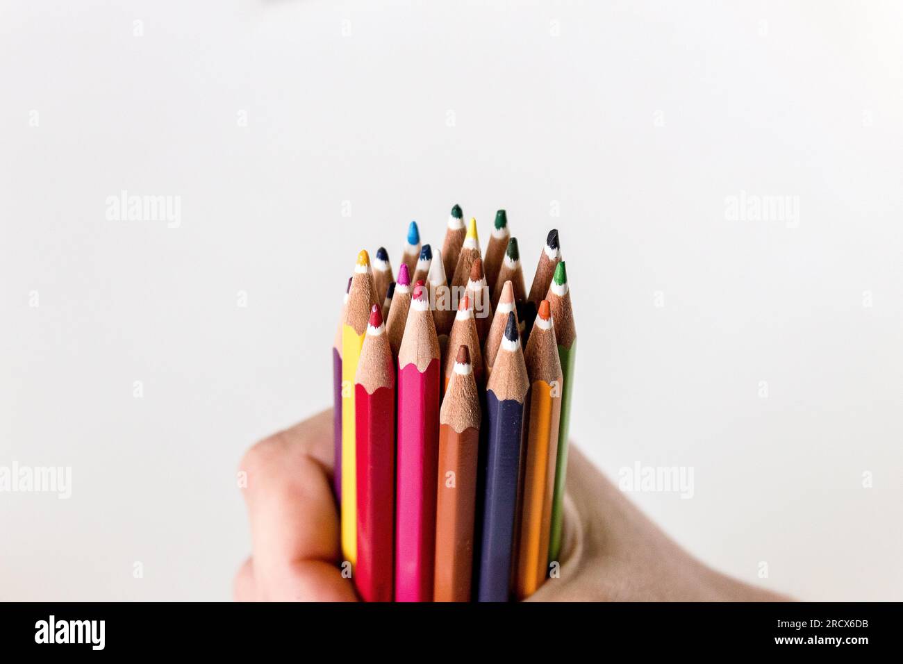 Multicolored pencils. Hand holding colored pencils set. Close up and ...