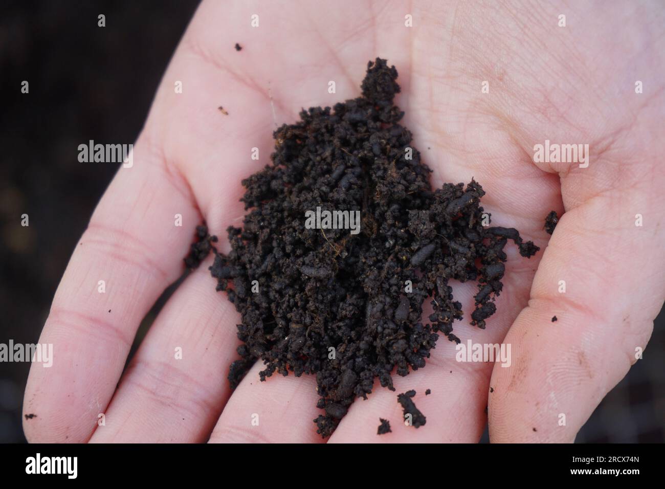 Biological humus hi-res stock photography and images - Alamy