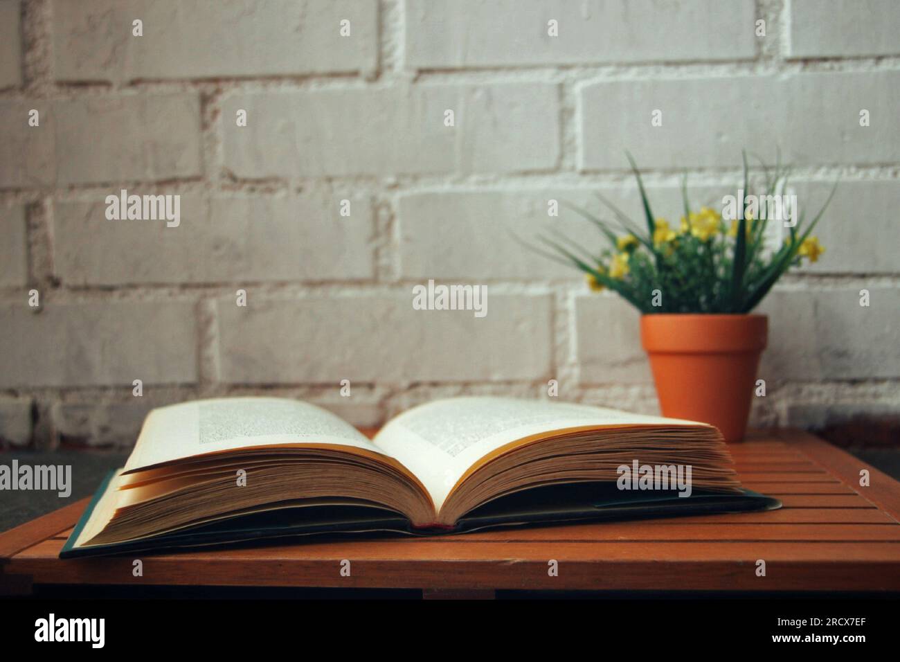 Open book with flowers on the side Stock Photo - Alamy