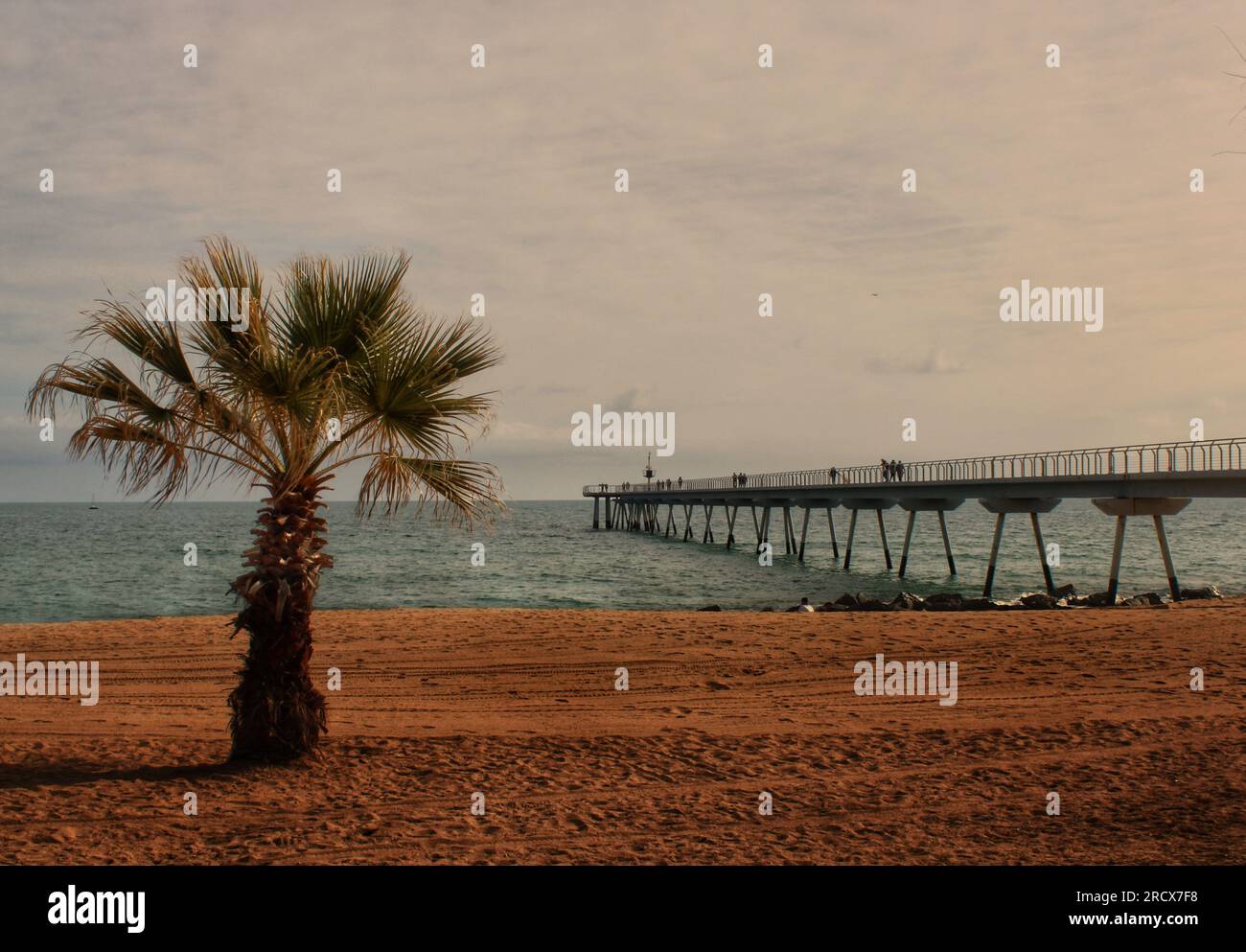 Palm tree and bridge on the beach Stock Photo - Alamy