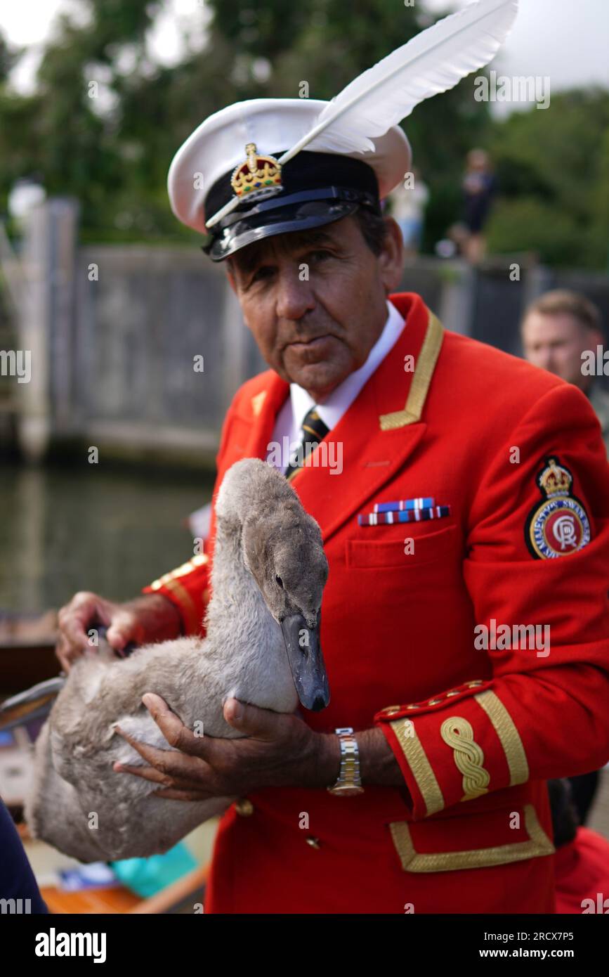 The King's Swan Marker, David Barber, during the ancient tradition of ...