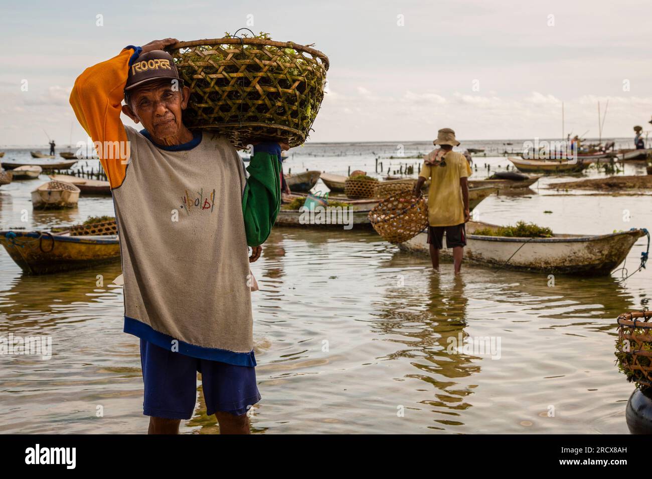 Old man carrying basket of seaweed Stock Photo - Alamy