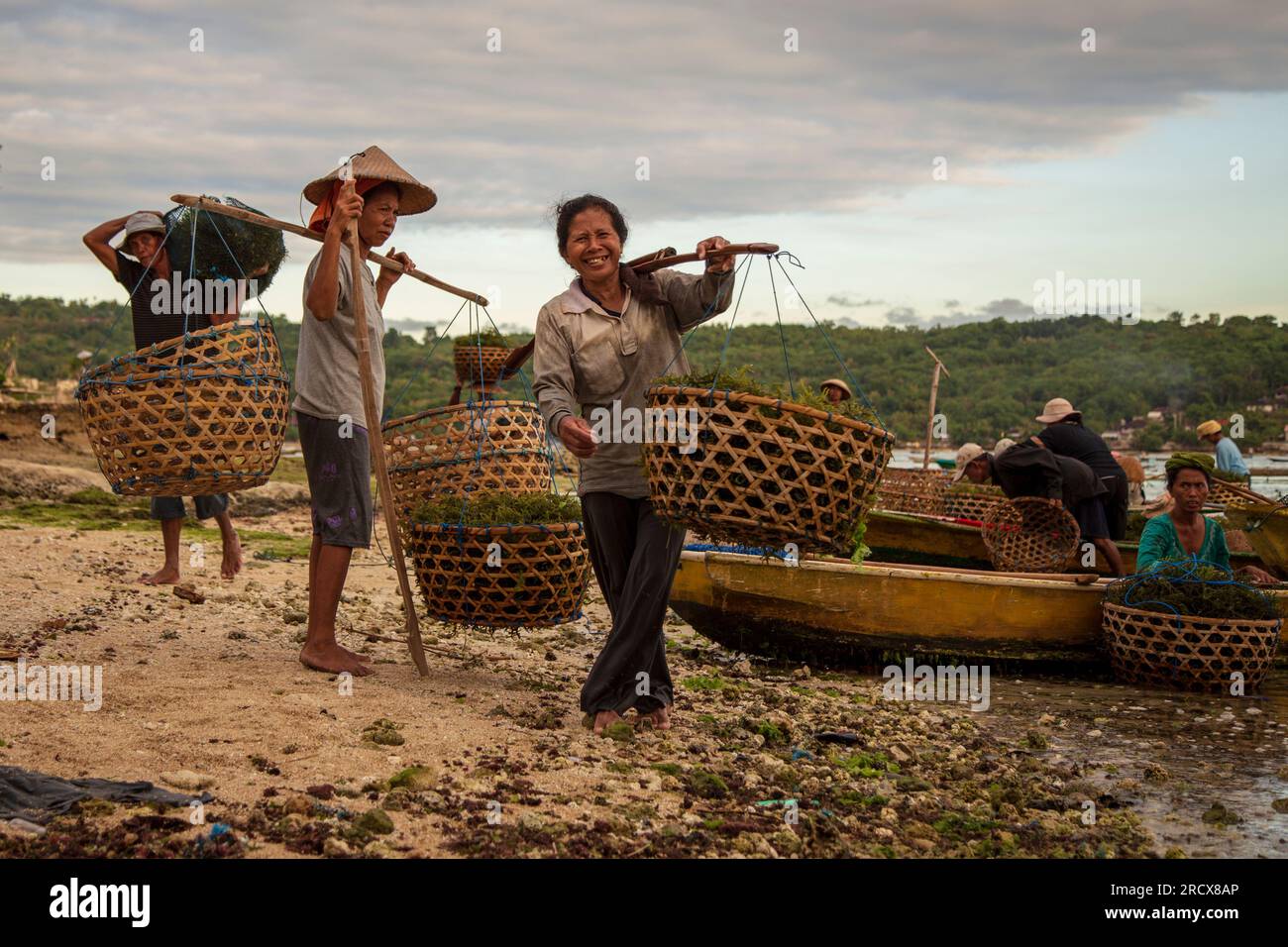 Two women and one man carrying baskets filled with seaweed Stock Photo ...