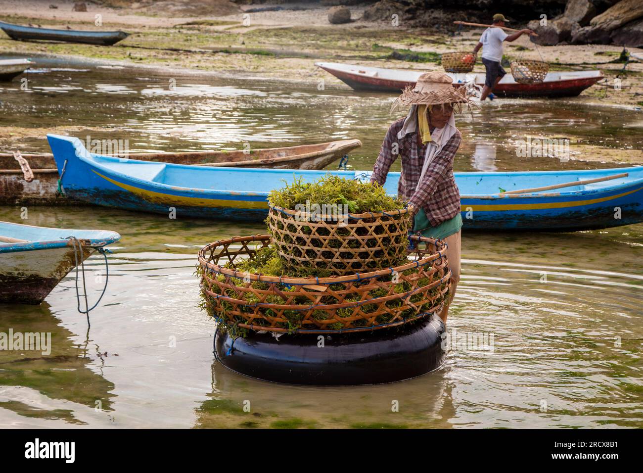 Blue seaweed boat hi-res stock photography and images - Alamy