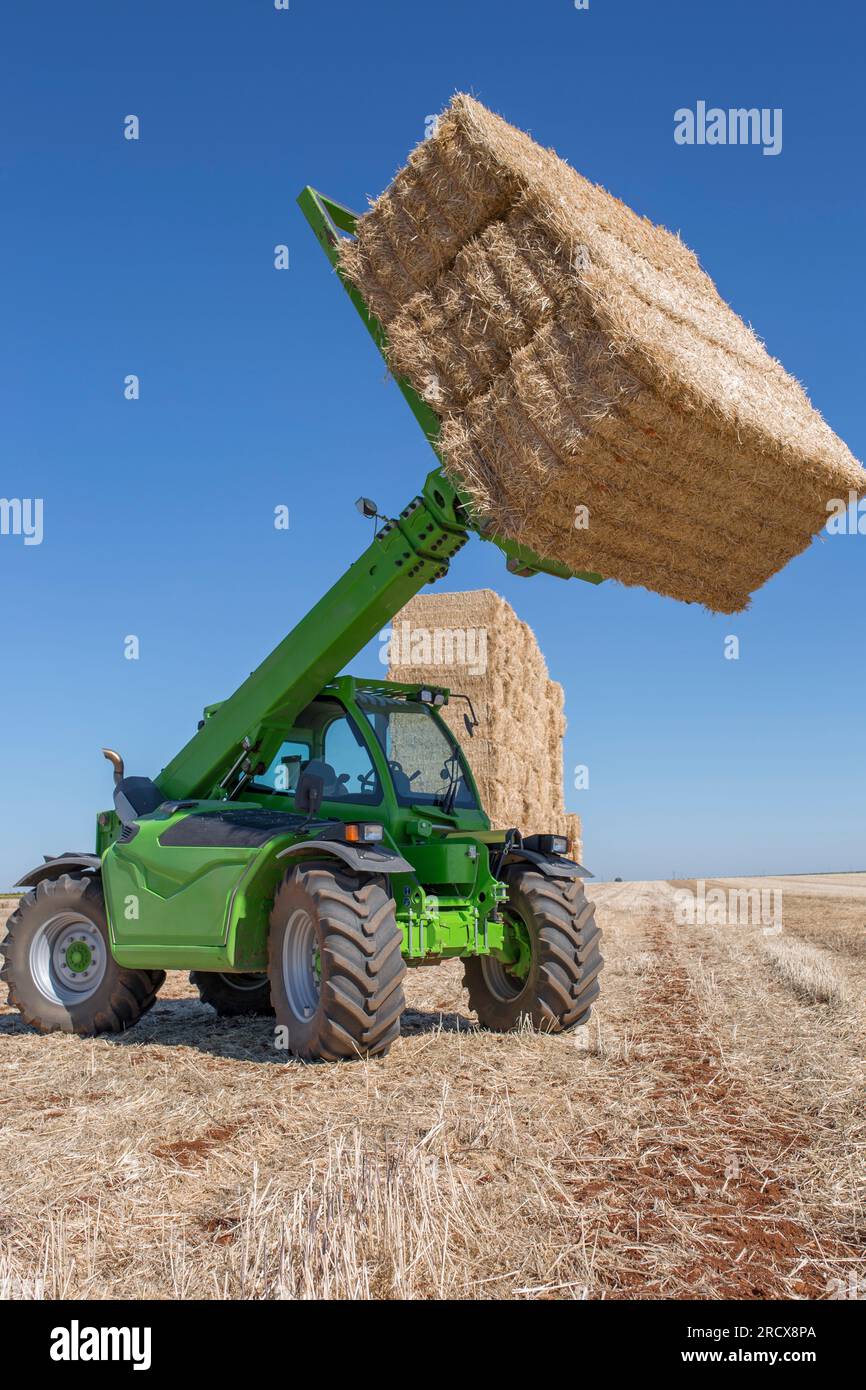 Telescopic machinery for agricultural sector Stock Photo - Alamy