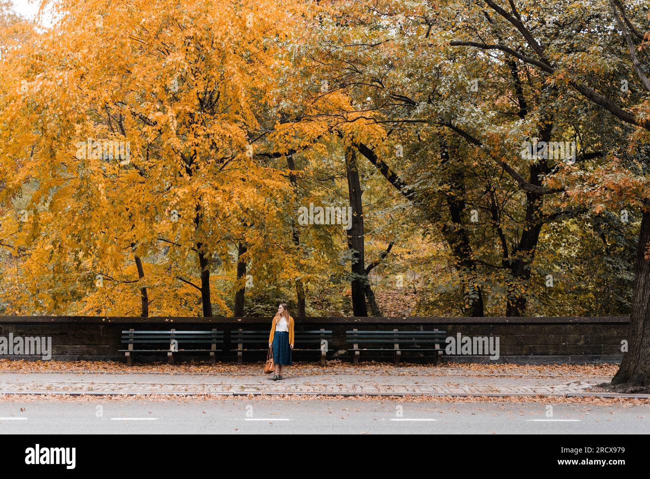 Eye catching yellow eye stands hi-res stock photography and images - Alamy