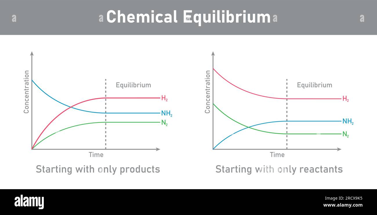 Chemical Equilibrium- Definition, Types, Importance, And, 50% OFF Chemical Equilibrium- Definition, Types, Importance, And, 50% OFF