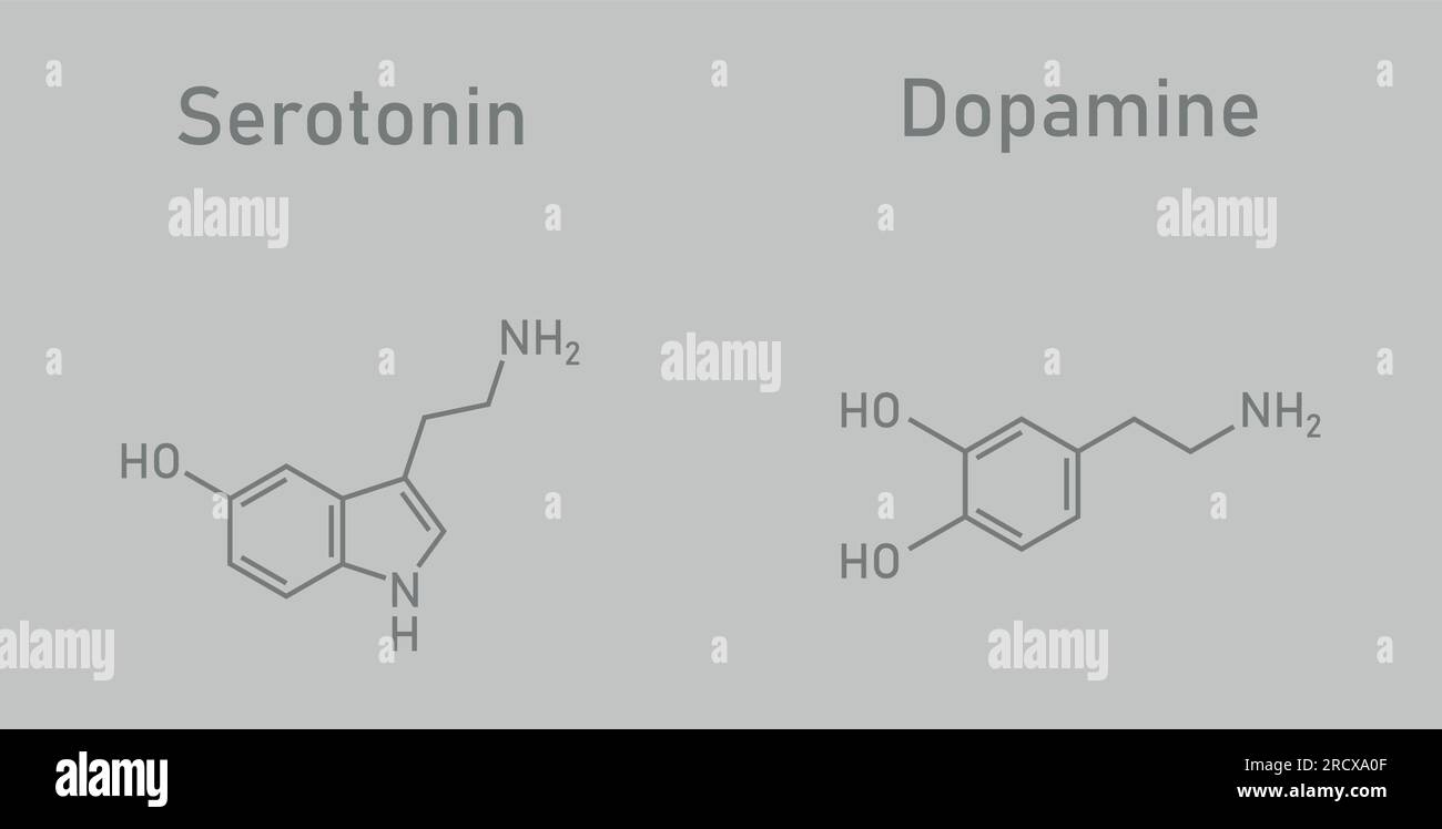 Serotonin And Dopamine Structures