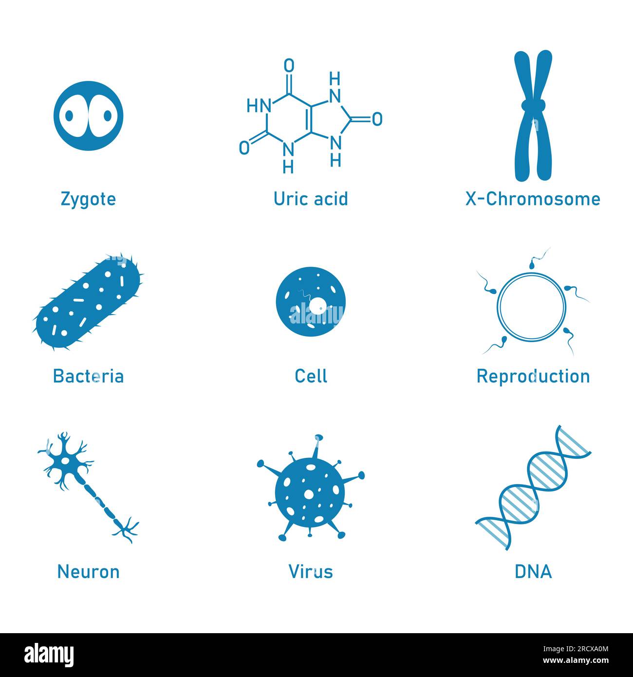 Biology science icon. Uric acid, bacteria, cell, neuron, virus, DNA ...