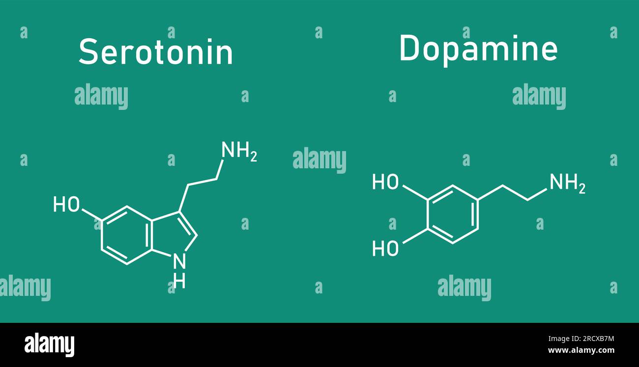 Dopamine and serotonin molecular structure. Scientific vector ...