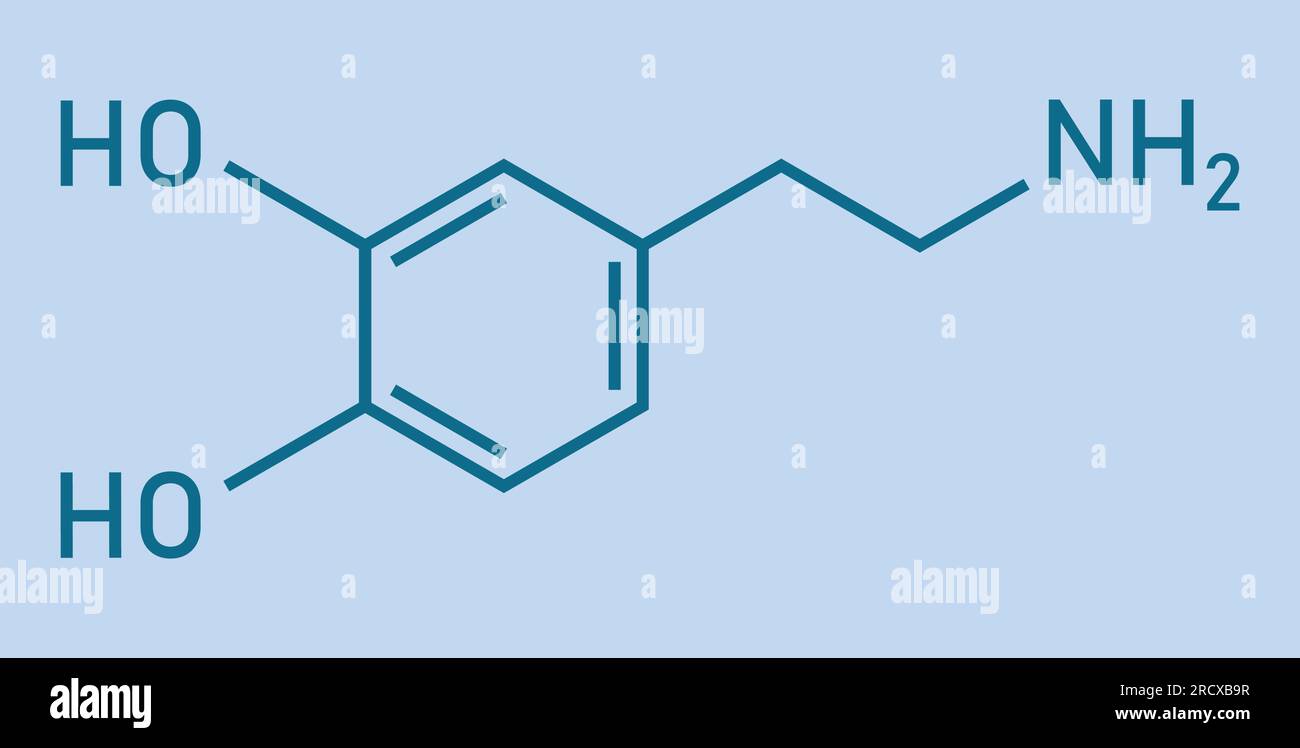 Chemical structure of Dopamine (C8H11NO2). Chemical resources for ...