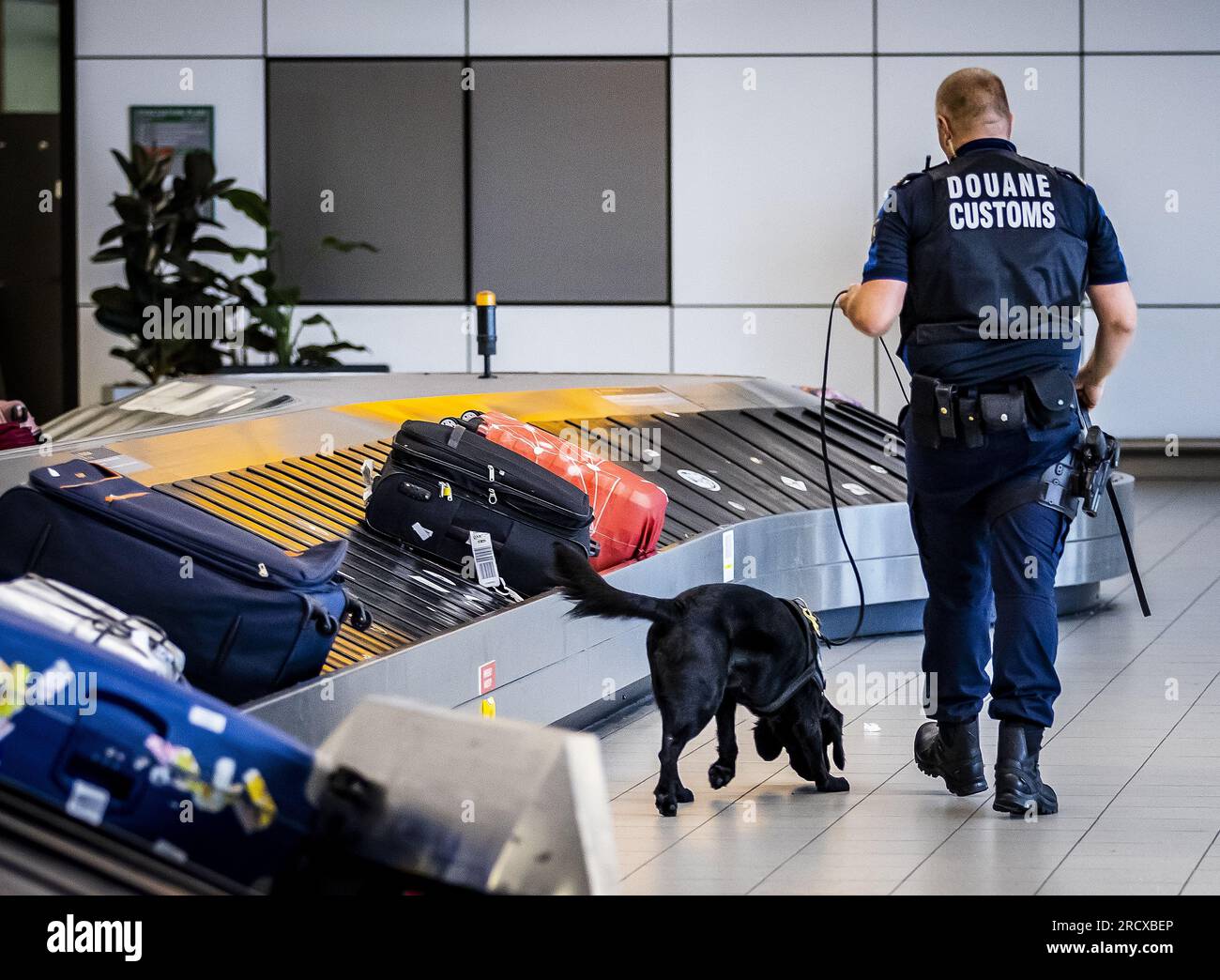SCHIPHOL - A customs officer inspects luggage on the baggage carousel ...