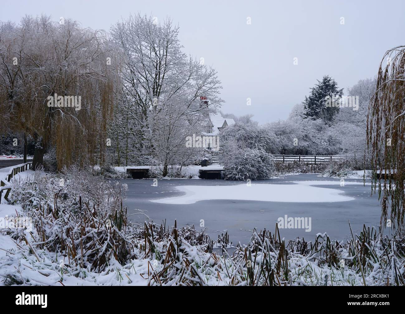 Mid pond hi-res stock photography and images - Alamy