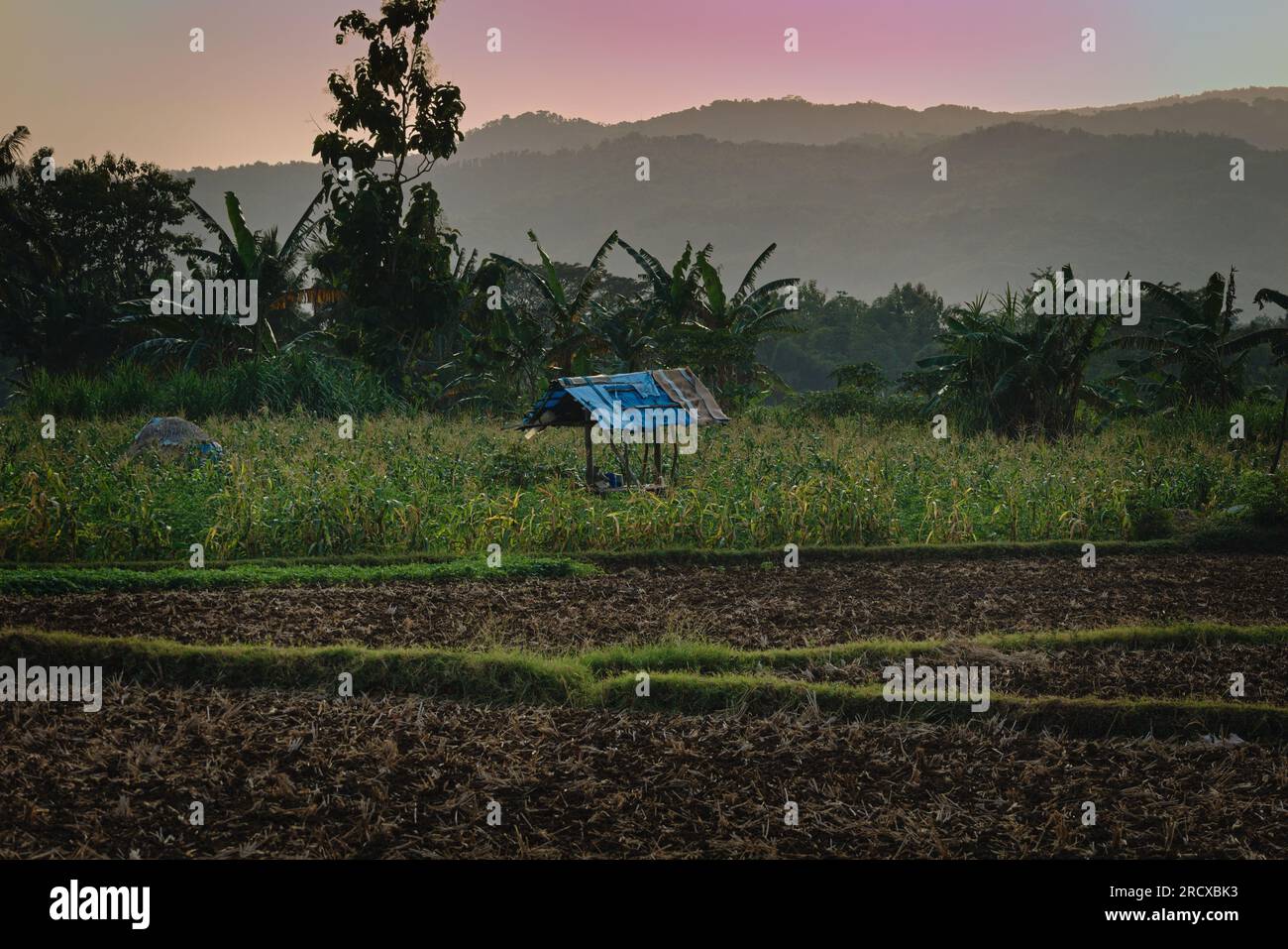 Beautiful Hut in the Field with morning vibes Stock Photo - Alamy