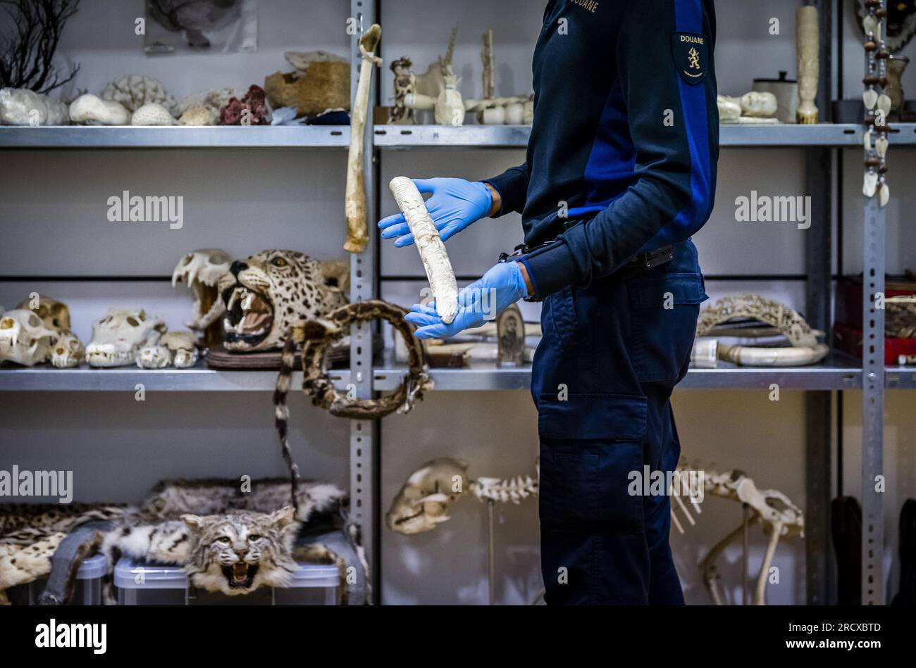 SCHIPHOL - A customs officer shows seized goods at Schiphol airport ...