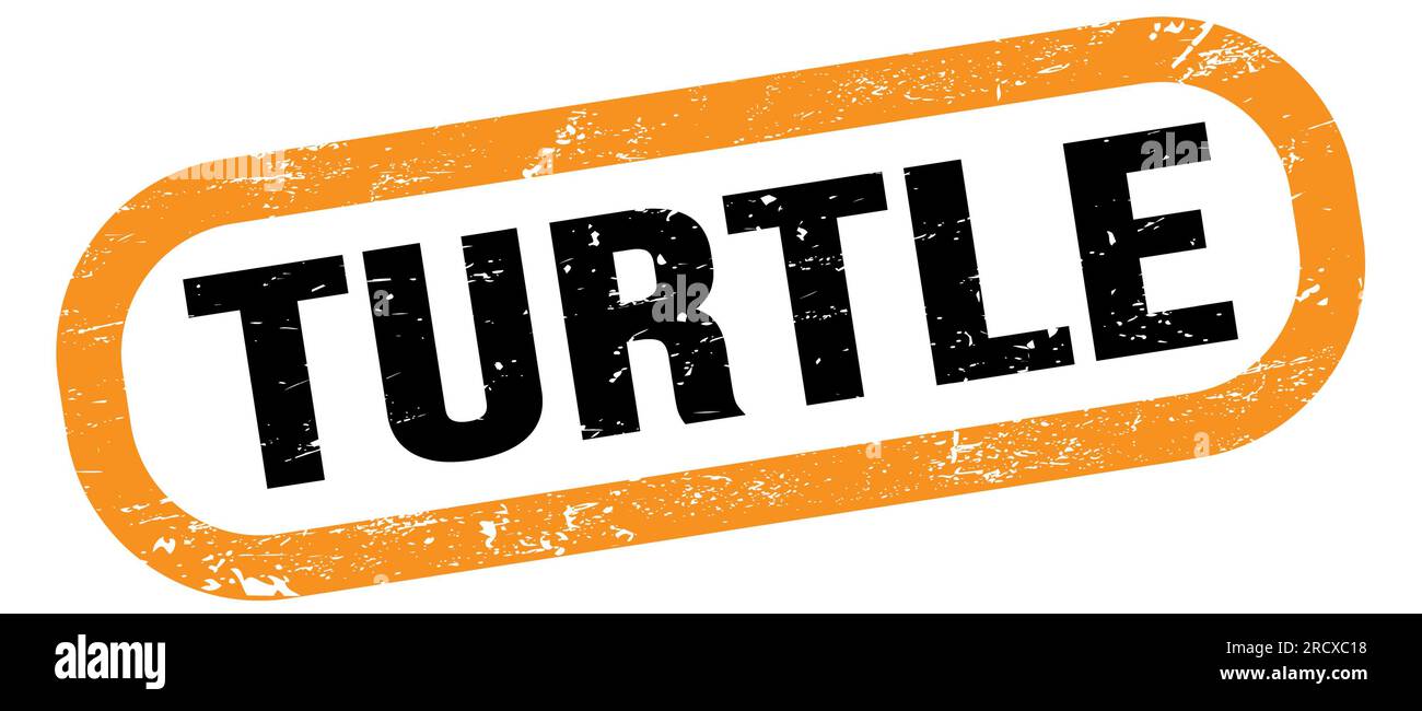 TURTLE, text on orange-black rectangle stamp sign Stock Photo - Alamy