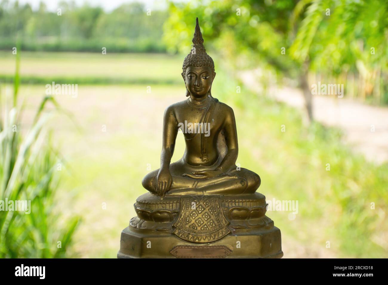 Buddha statue in nature background,beautiful gold color buddha statue ...