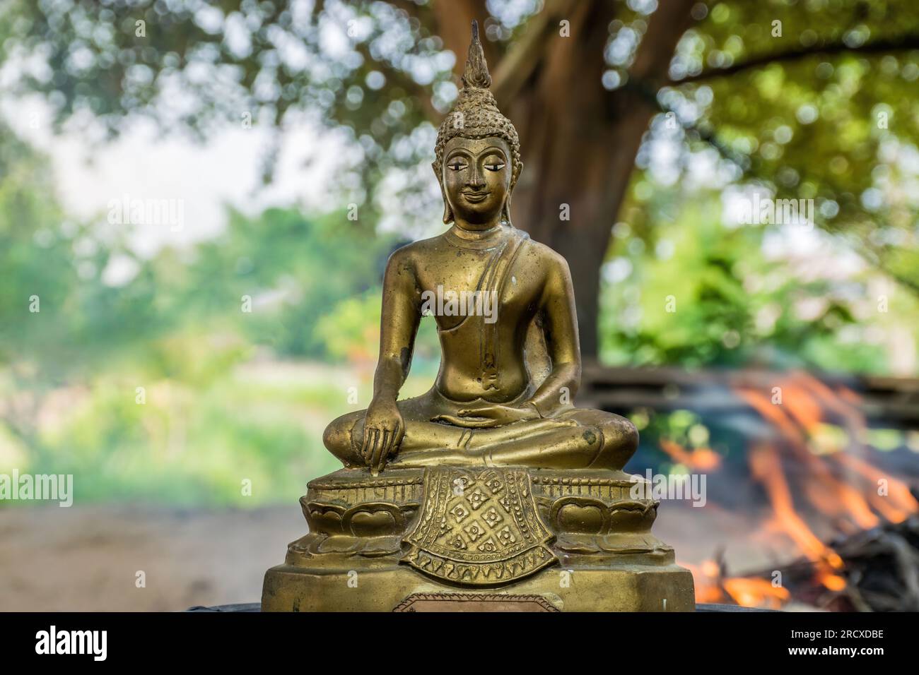 Buddha statue in nature background,beautiful gold color buddha statue ...