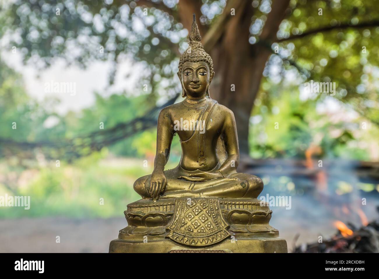 Buddha statue in nature background,beautiful gold color buddha statue ...