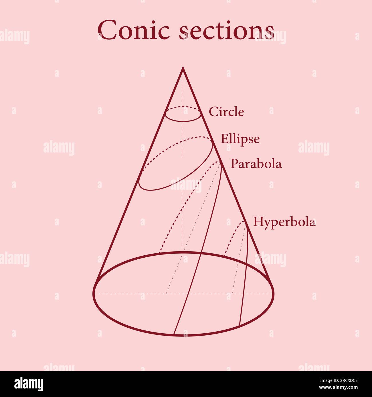 Types Of Conic Sections Circle Ellipse Parabola And Hyperbola Vector Illustration Isolated