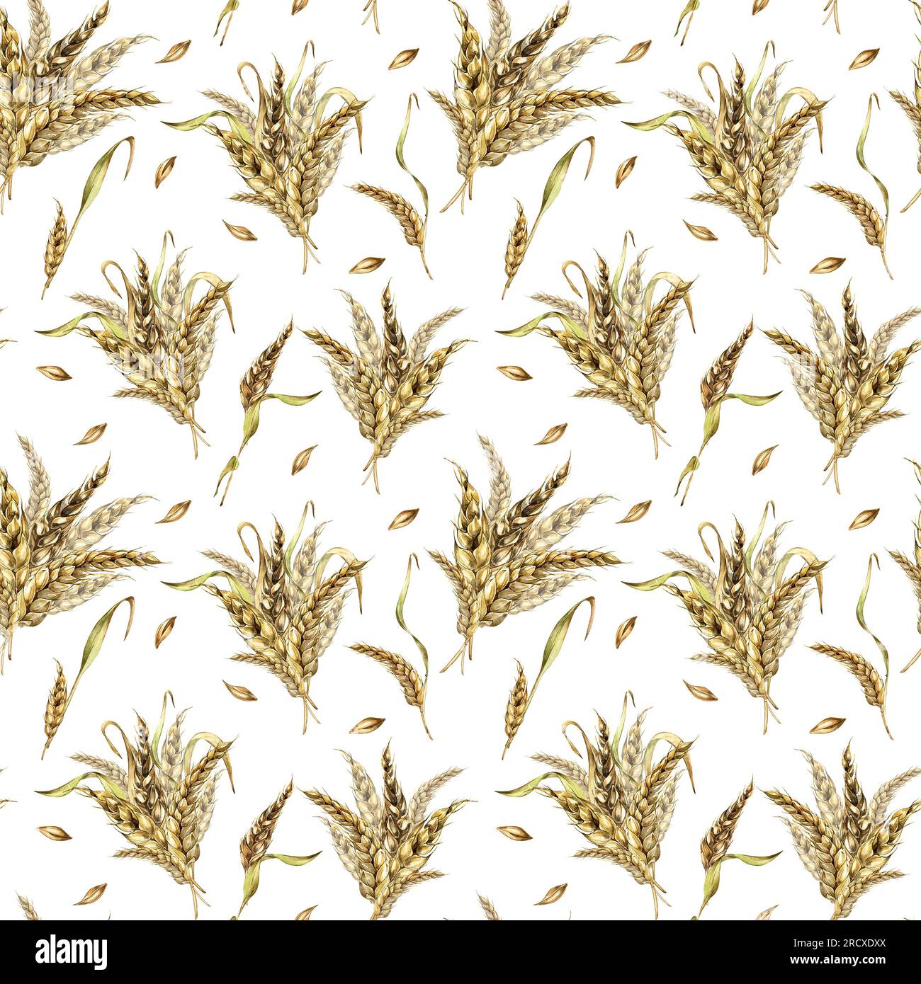Wheat ear bunch watercolor seamless pattern isolated on white ...
