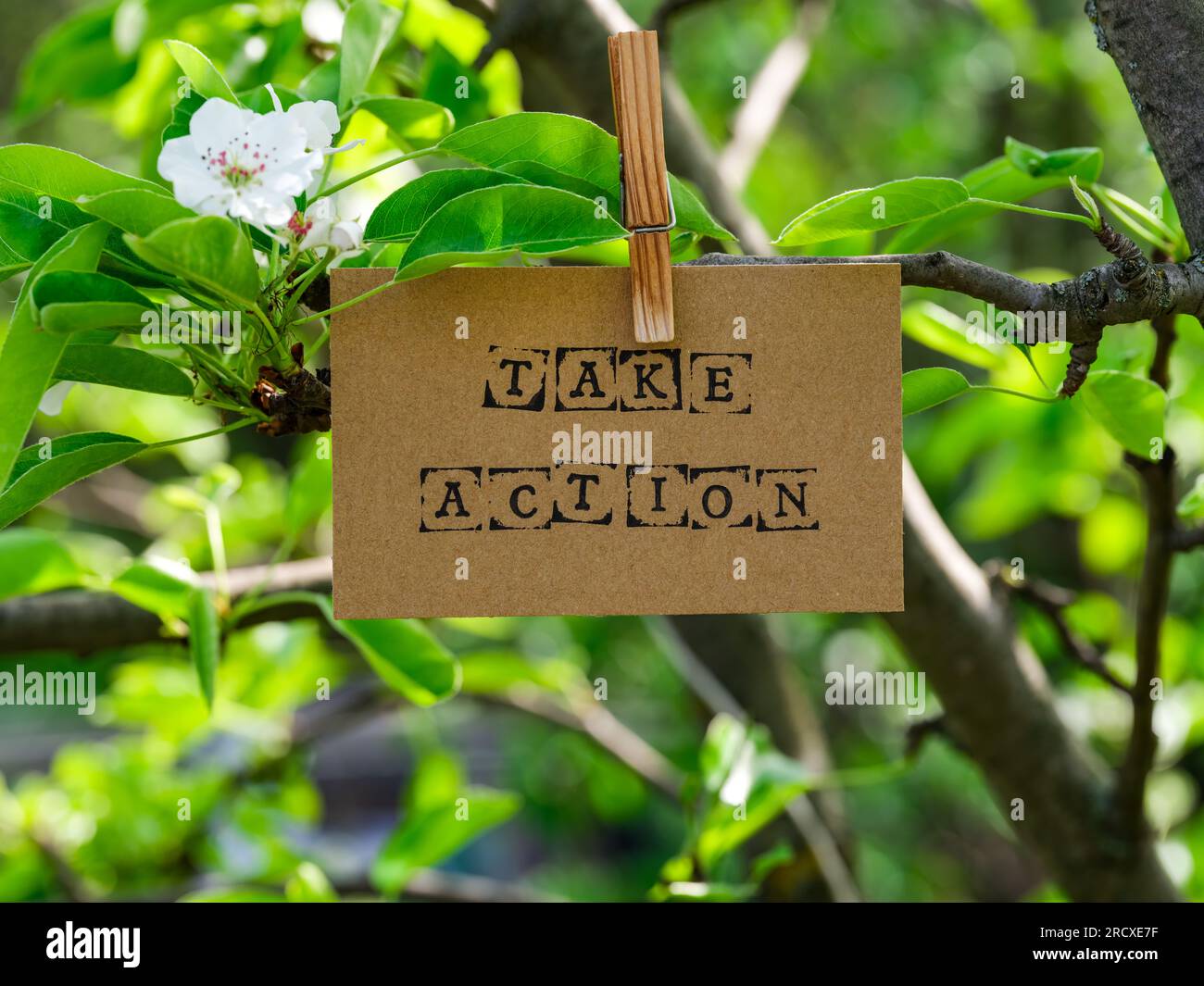 A piece of cardboard with the words Take Action on it hanging on a pear ...