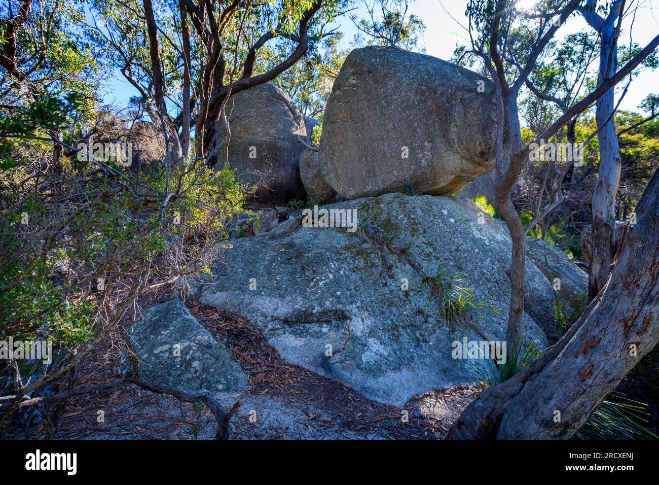 Granite rock formations and boulders, Underground Creek walking track ...