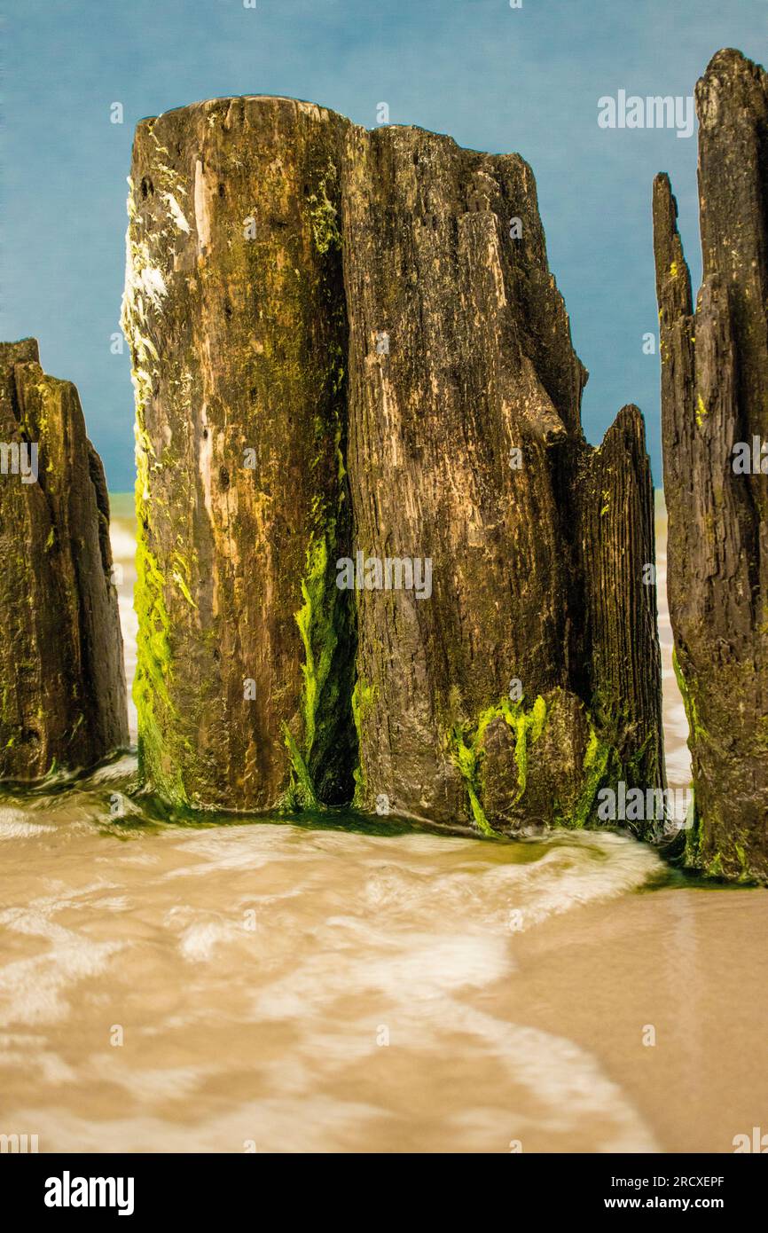 Wooden piles breakwater hi-res stock photography and images - Alamy