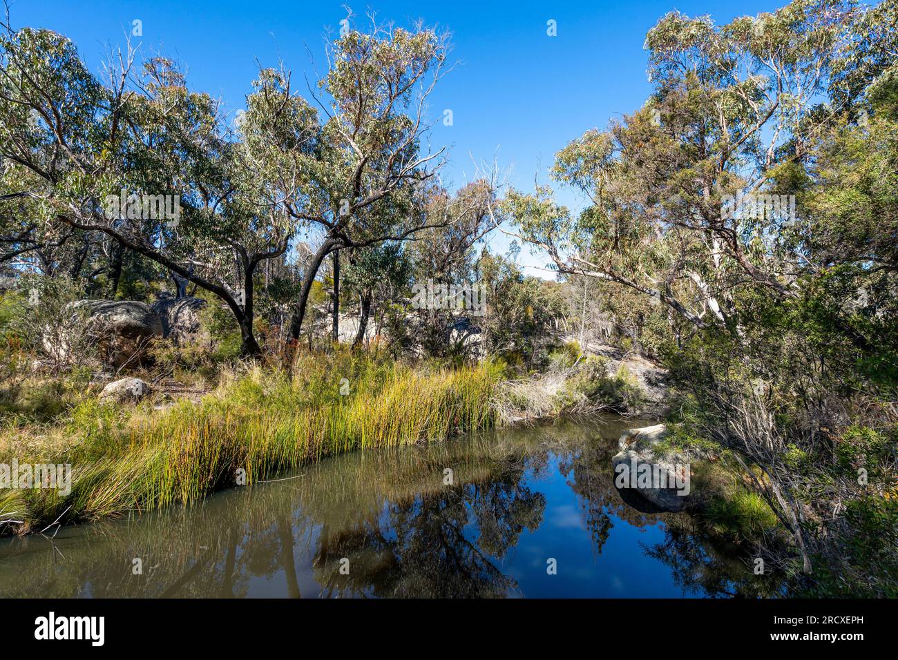 Underground creek trail hi-res stock photography and images - Alamy