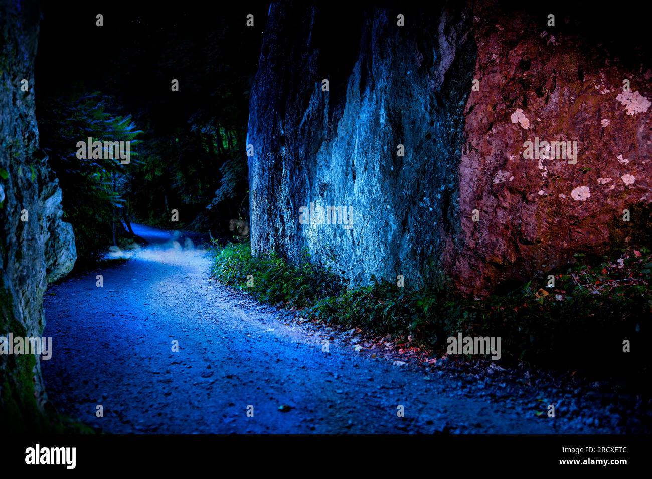 A road into the unknown. A mysterious gravel road between the rocks and the forest. Amazing ...