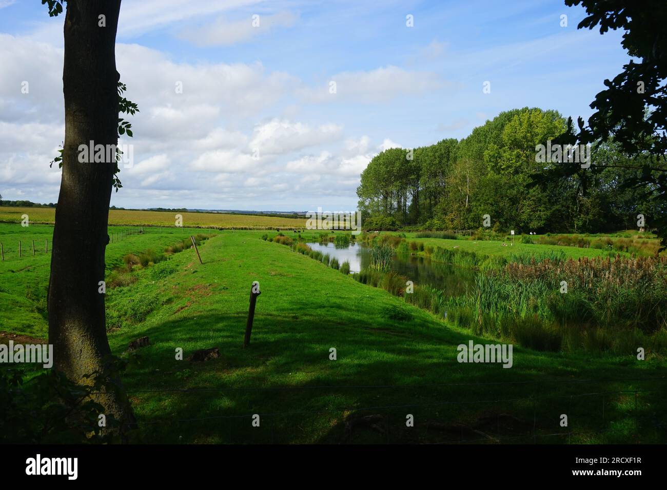 Stew pond hi-res stock photography and images - Alamy