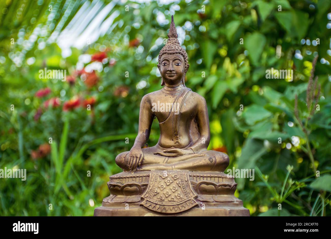 Buddha statue in nature background,beautiful gold color buddha statue ...