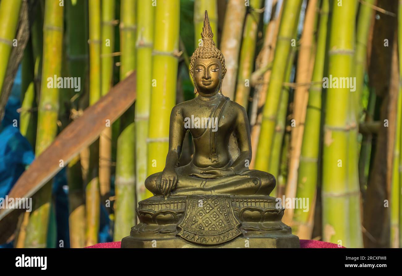 Buddha statue in nature background,beautiful gold color buddha statue ...