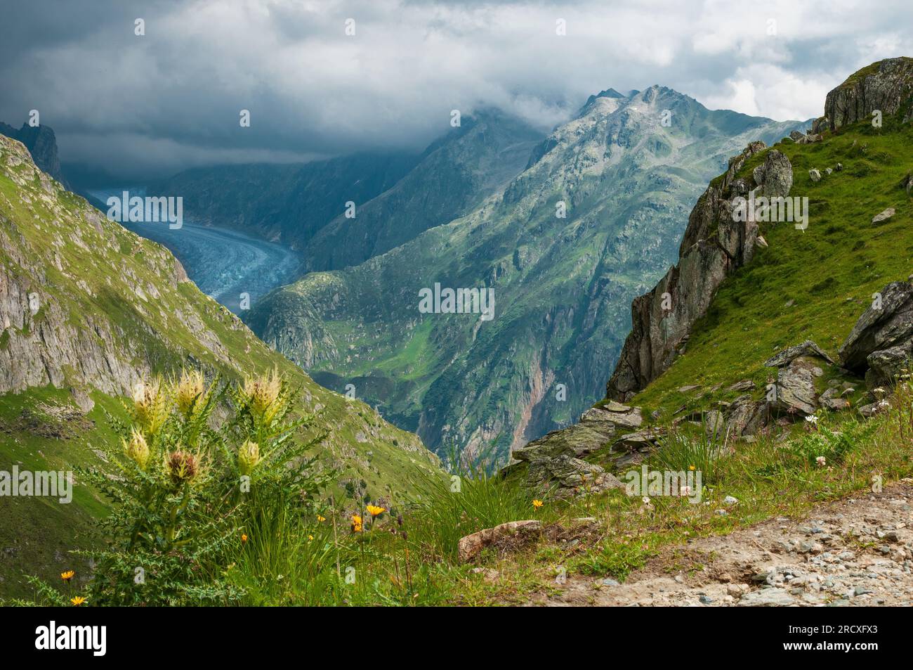 Scenic mountain view in Swiss Alps. Sharp rocks, high mountain peaks ...