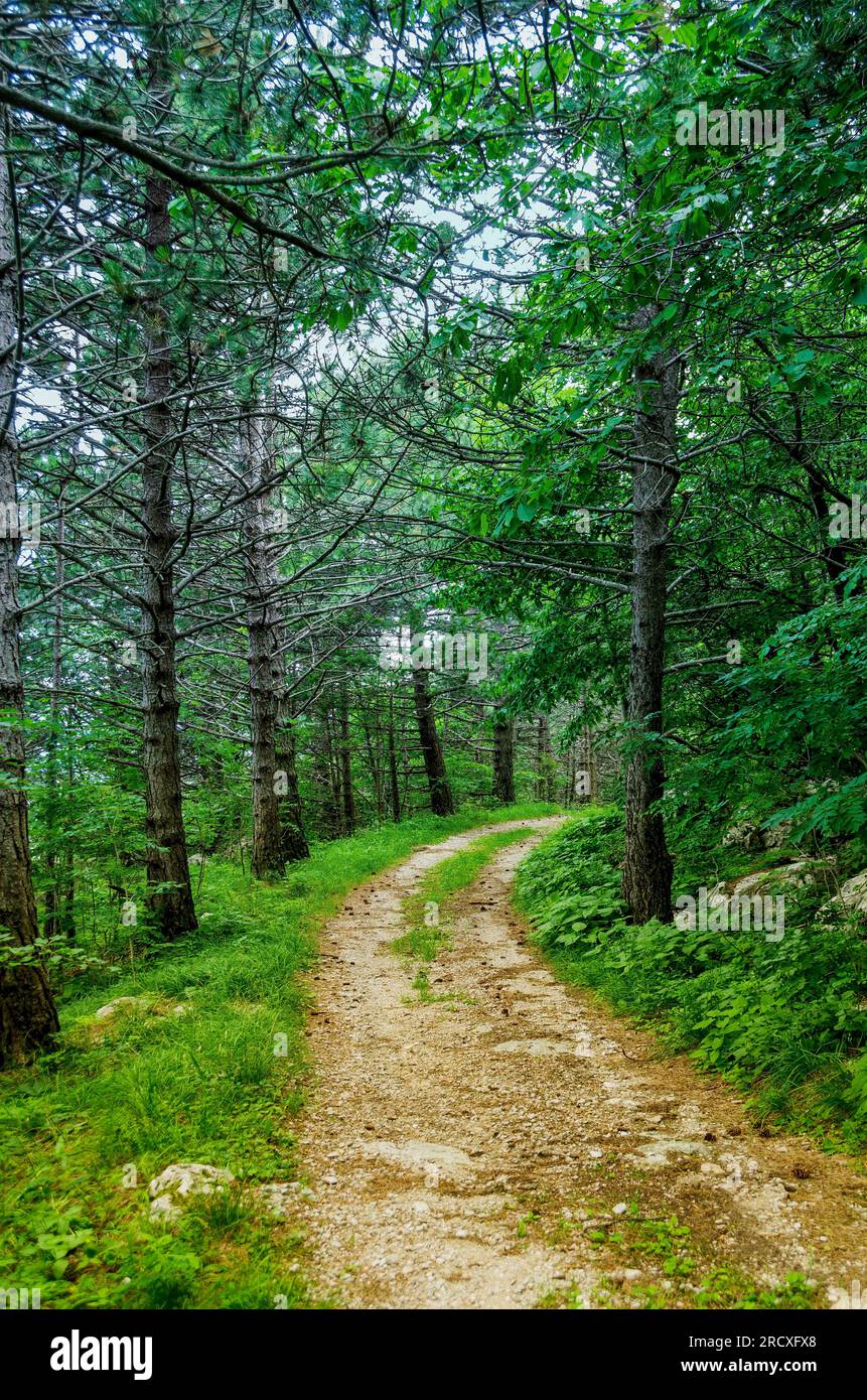 Winding trail hi-res stock photography and images - Alamy