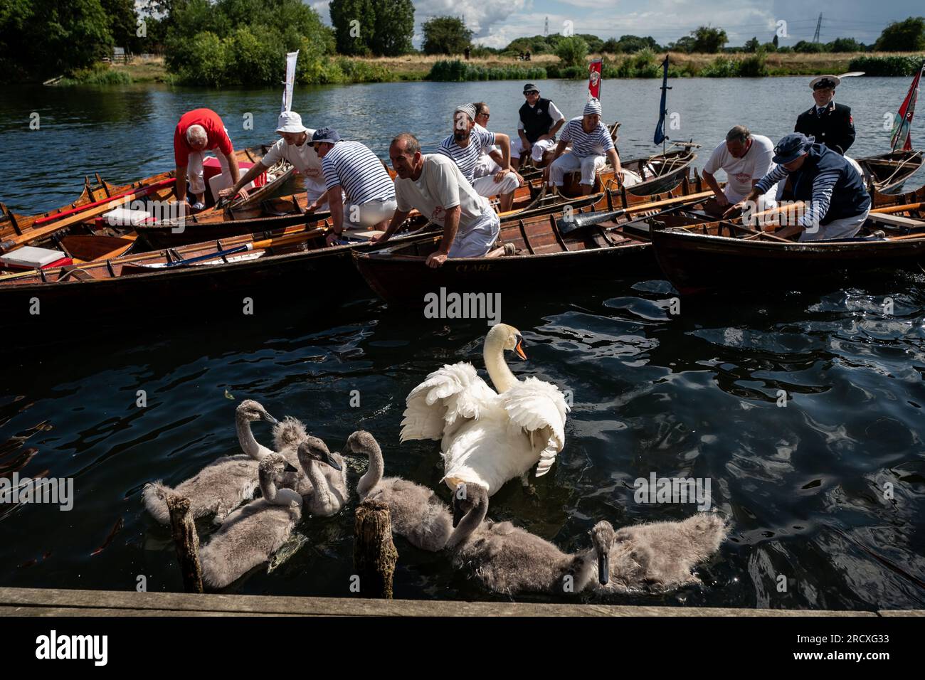 Swan Uppers during the ancient tradition of Swan Upping, the annual ...