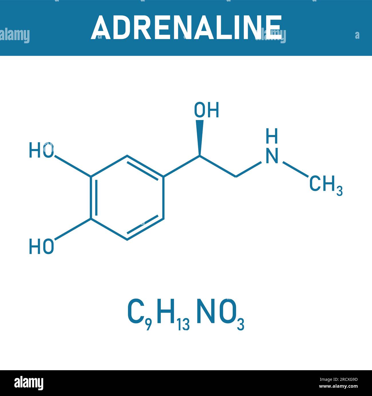 Chemical structure of Adrenaline or epinephrine (C9H13NO3). Chemical ...