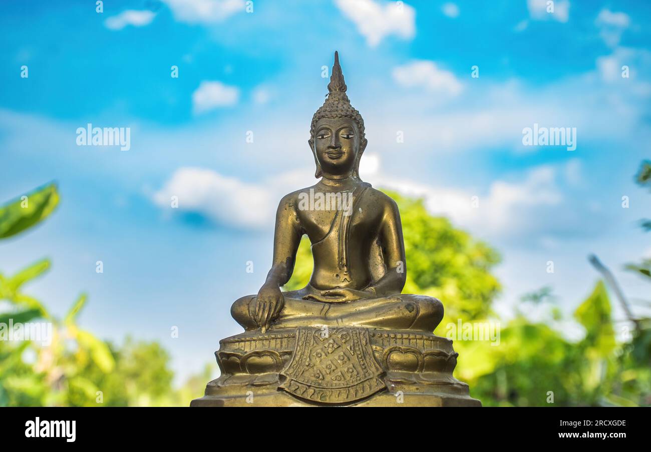 Buddha statue in nature background,beautiful gold color buddha statue ...