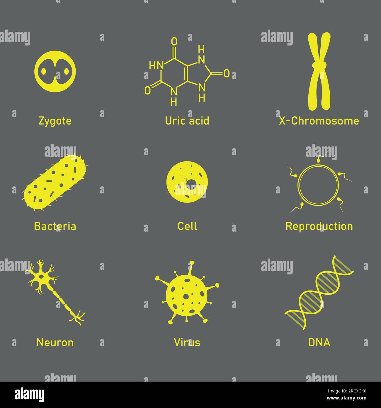 Biology science icon. Uric acid, bacteria, cell, neuron, virus, DNA ...