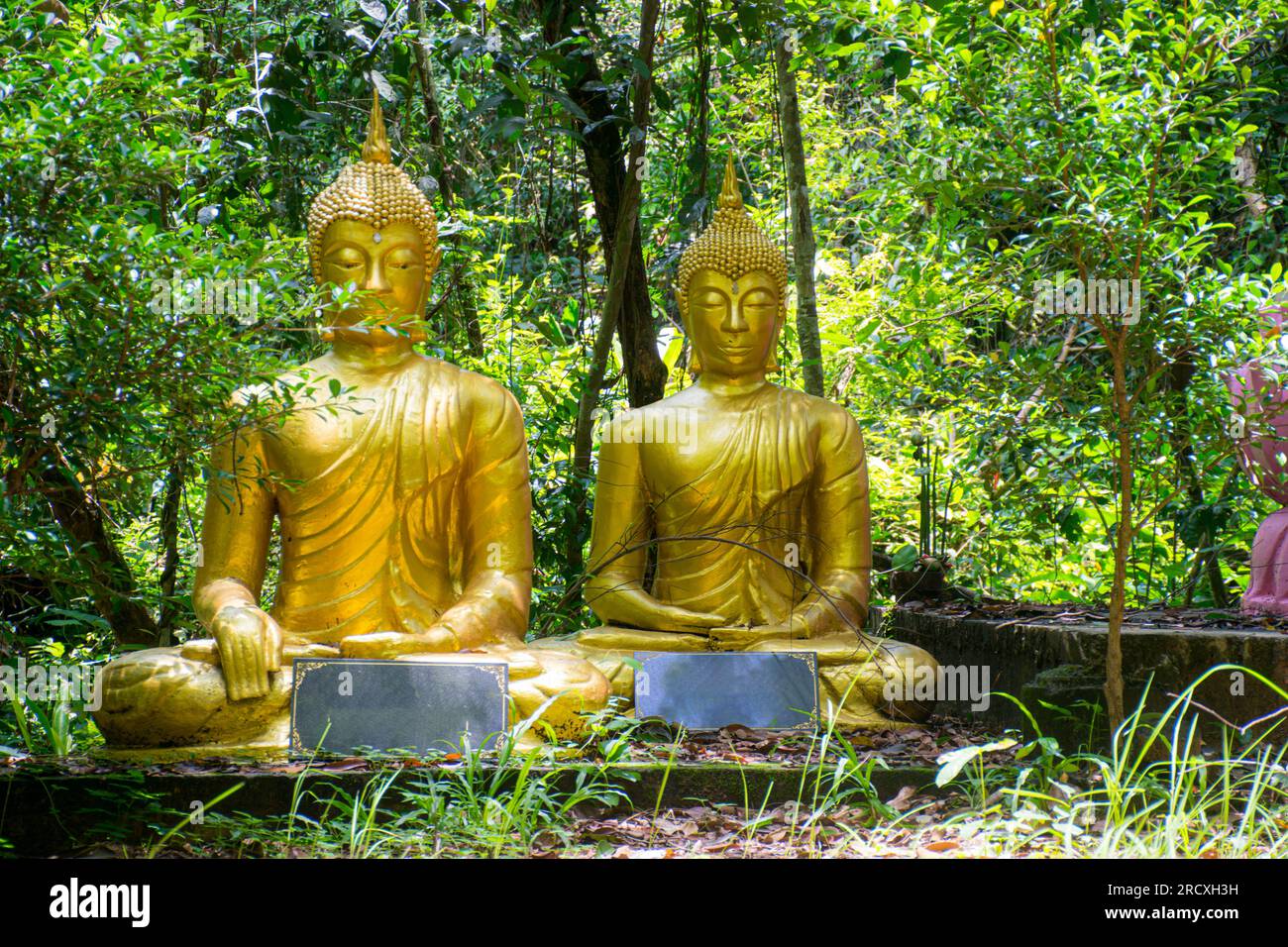 Buddha statue in nature background,beautiful gold color buddha statue ...