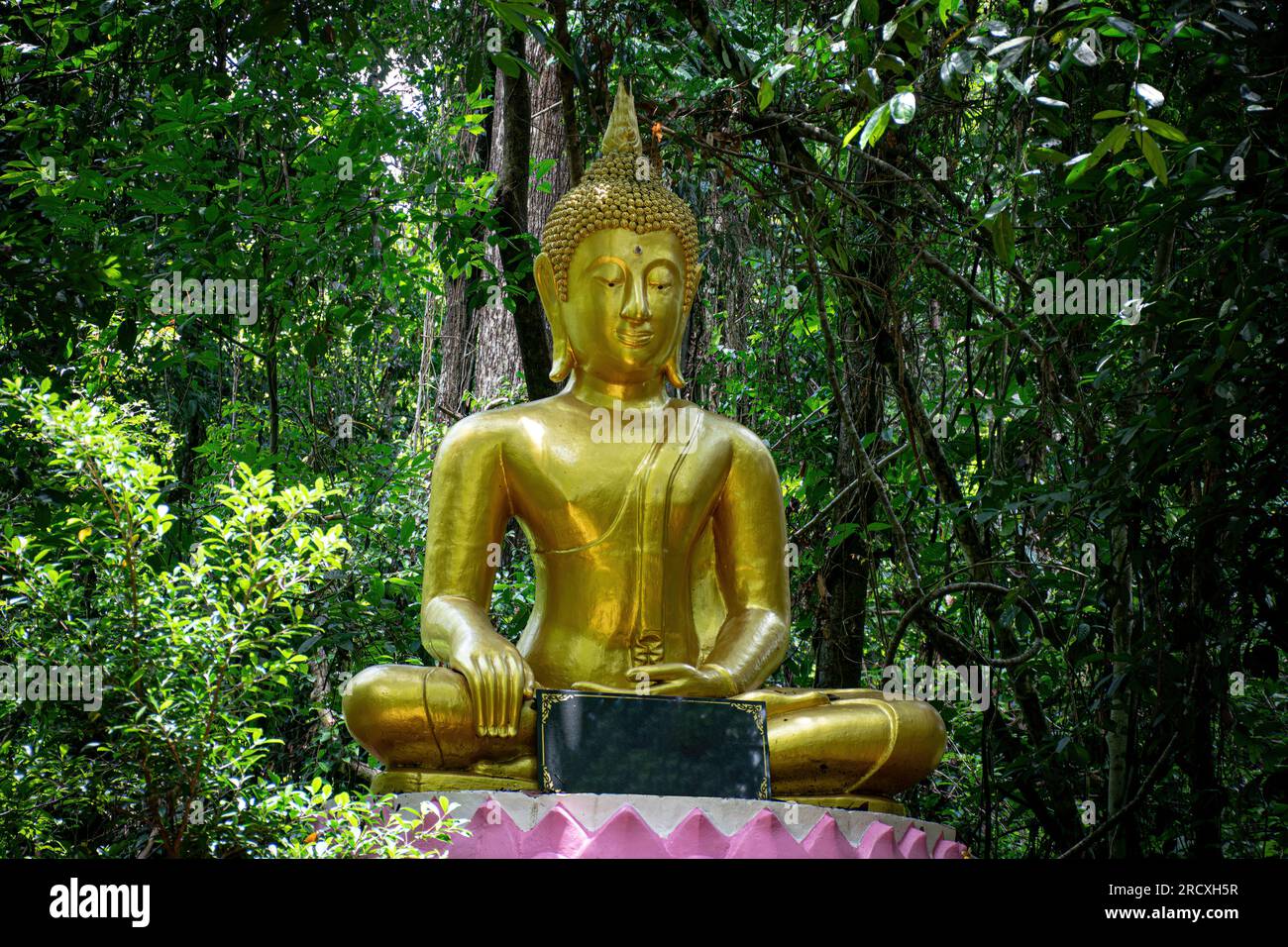 Buddha statue in nature background,beautiful gold color buddha statue ...